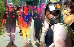 64-year-old woman survives Python attack on Tuesday night in a horror ...