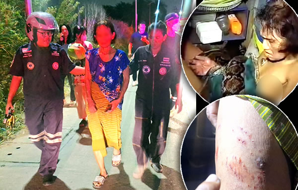 64-year-old woman survives Python attack on Tuesday night in a horror ...