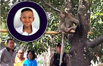 Killer monkey left 6 year old boy with life threatening injuries on his ...